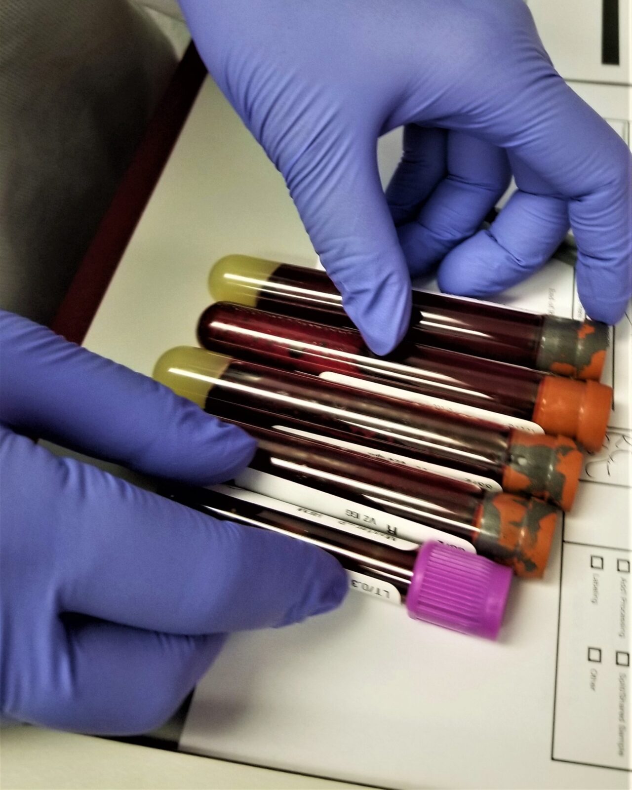 Phlebotomy | Making A Change Cincy